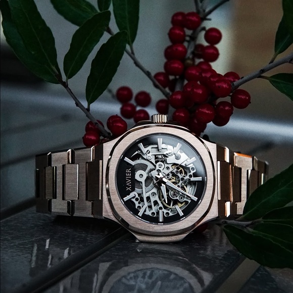 Xavier Watches | Accessories | Nib Xavier Watches Xerxes Skeleton ...
